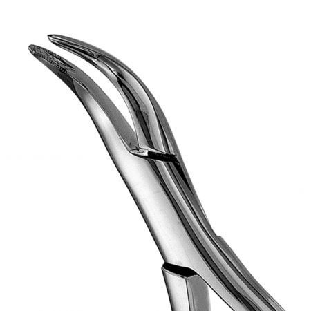 301 Root Forceps, Serrated F301 | HuFriedy Group