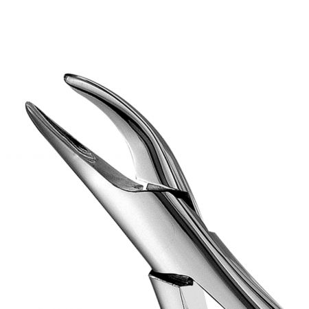 69 Tomes Forceps F69 | HuFriedy Group