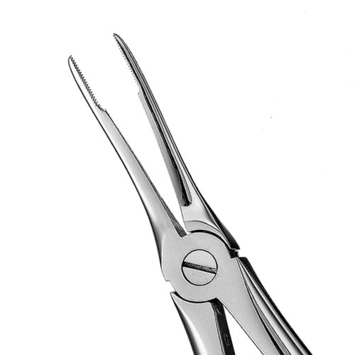 49 European Style Root Forceps, Serrated FX49 | HuFriedy Group