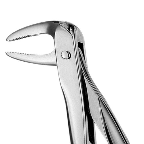 74N European Style Root Forceps, Serrated FX74N | HuFriedy Group